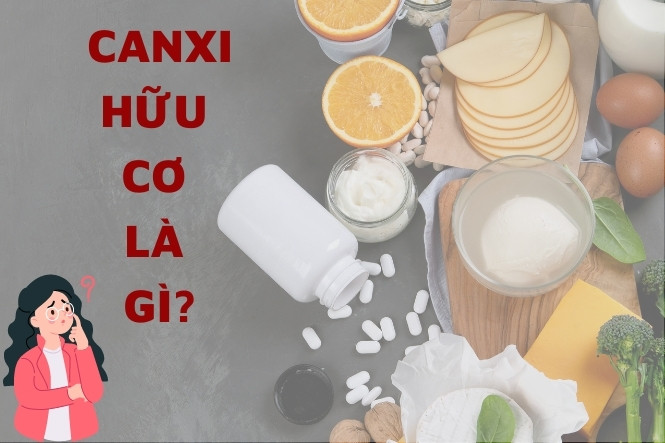 Canxi hữu cơ là gì? Tất tần tật kiến thức về canxi hữu cơ
